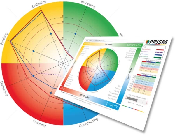 What is PRISM? | Discover the PRISM Brain Mapping Tool