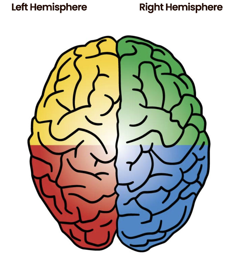 What is PRISM? | Discover the PRISM Brain Mapping Tool