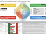 PRISM Brain Map | Self-Awareness, Emotional Intelligence & Peak ...