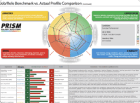 PRISM Brain Map | Self-Awareness, Emotional Intelligence & Peak ...