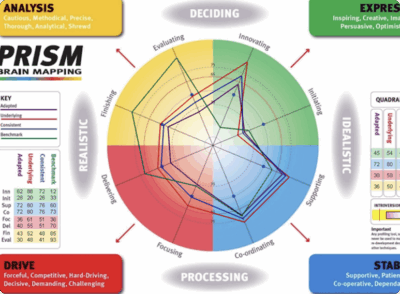 PRISM Brain Map | Self-Awareness, Emotional Intelligence & Peak ...