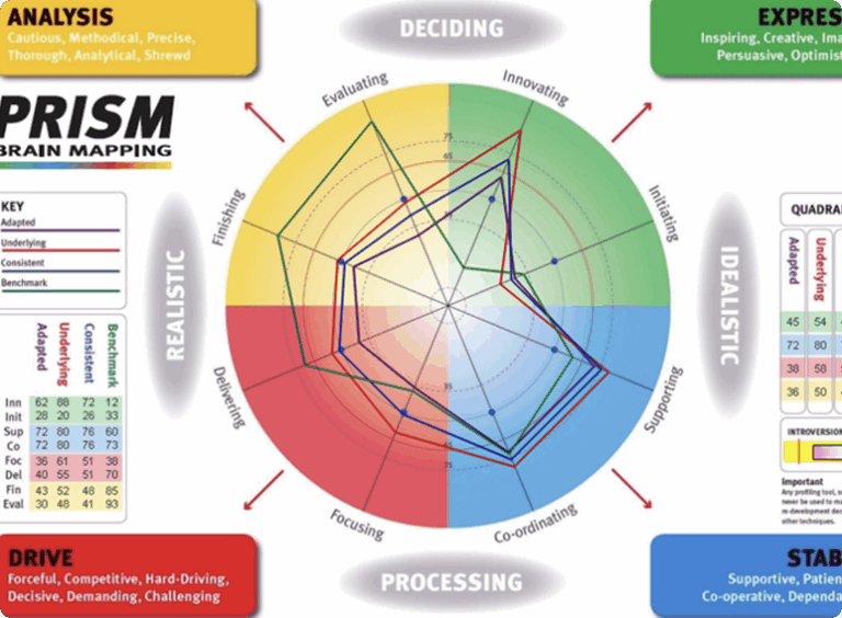 PRISM Brain Map | Self-Awareness, Emotional Intelligence & Peak ...